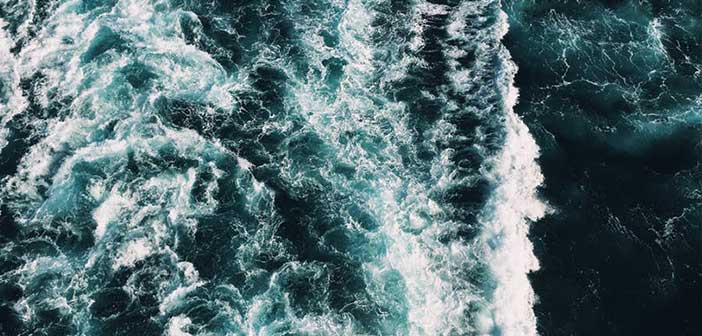 Newbies Beware: Failing to Adjust to Market Tides Could Leave You High ...